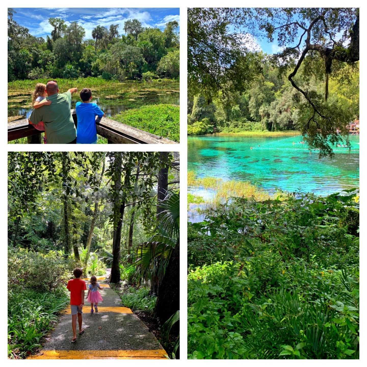 Dunnellon, Florida – Away we wander and discover the world…