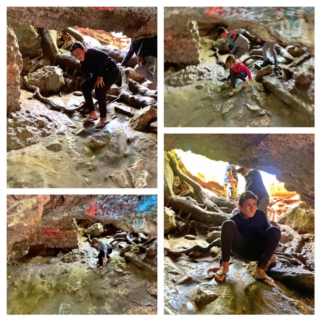 Lecanto, Florida – Away we wander and discover the world…