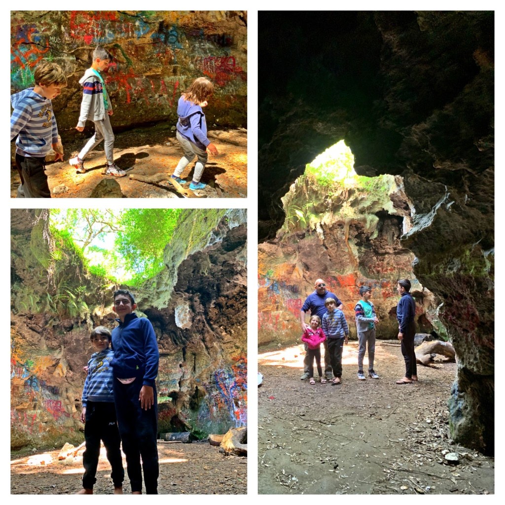 Lecanto, Florida – Away we wander and discover the world…