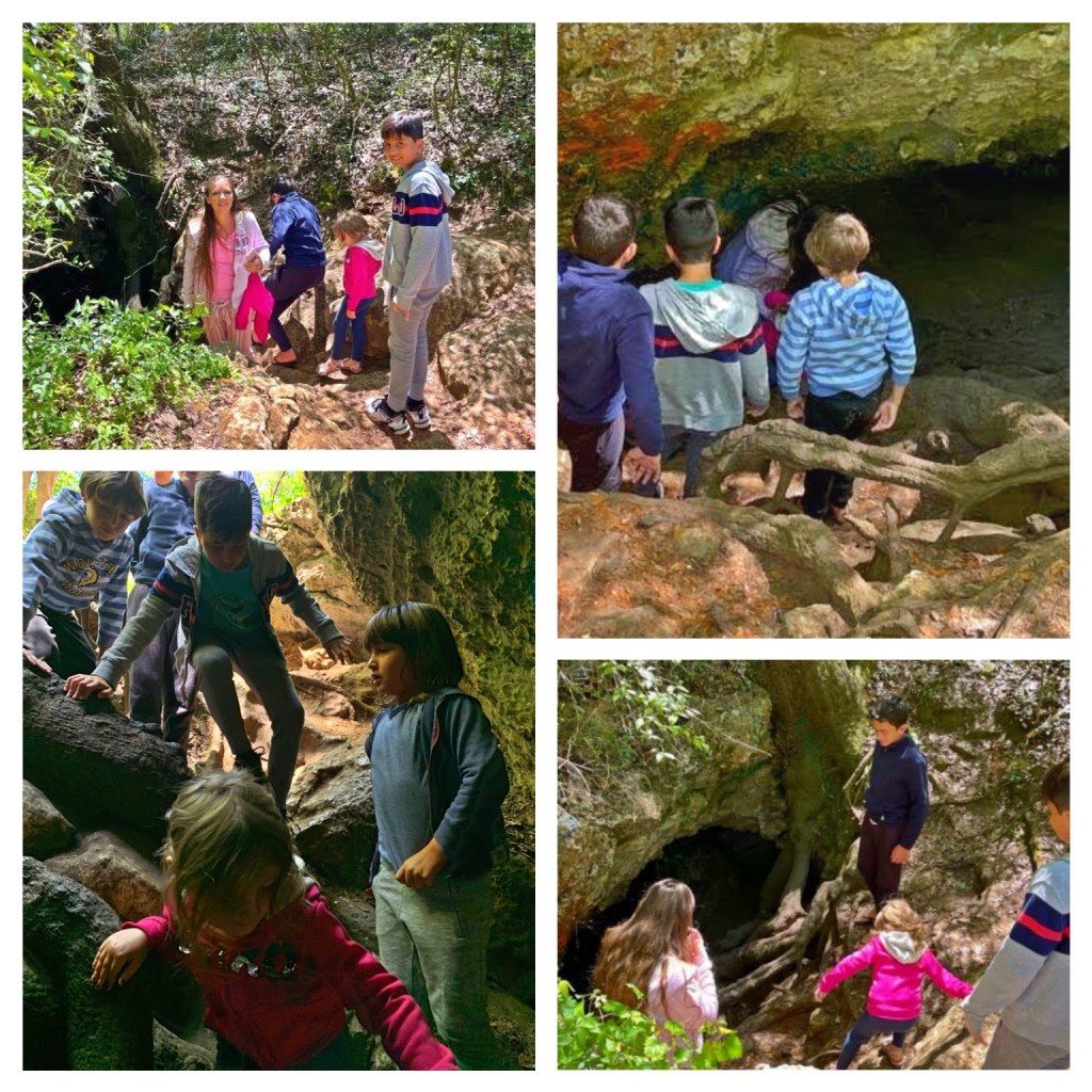 Lecanto, Florida – Away we wander and discover the world…