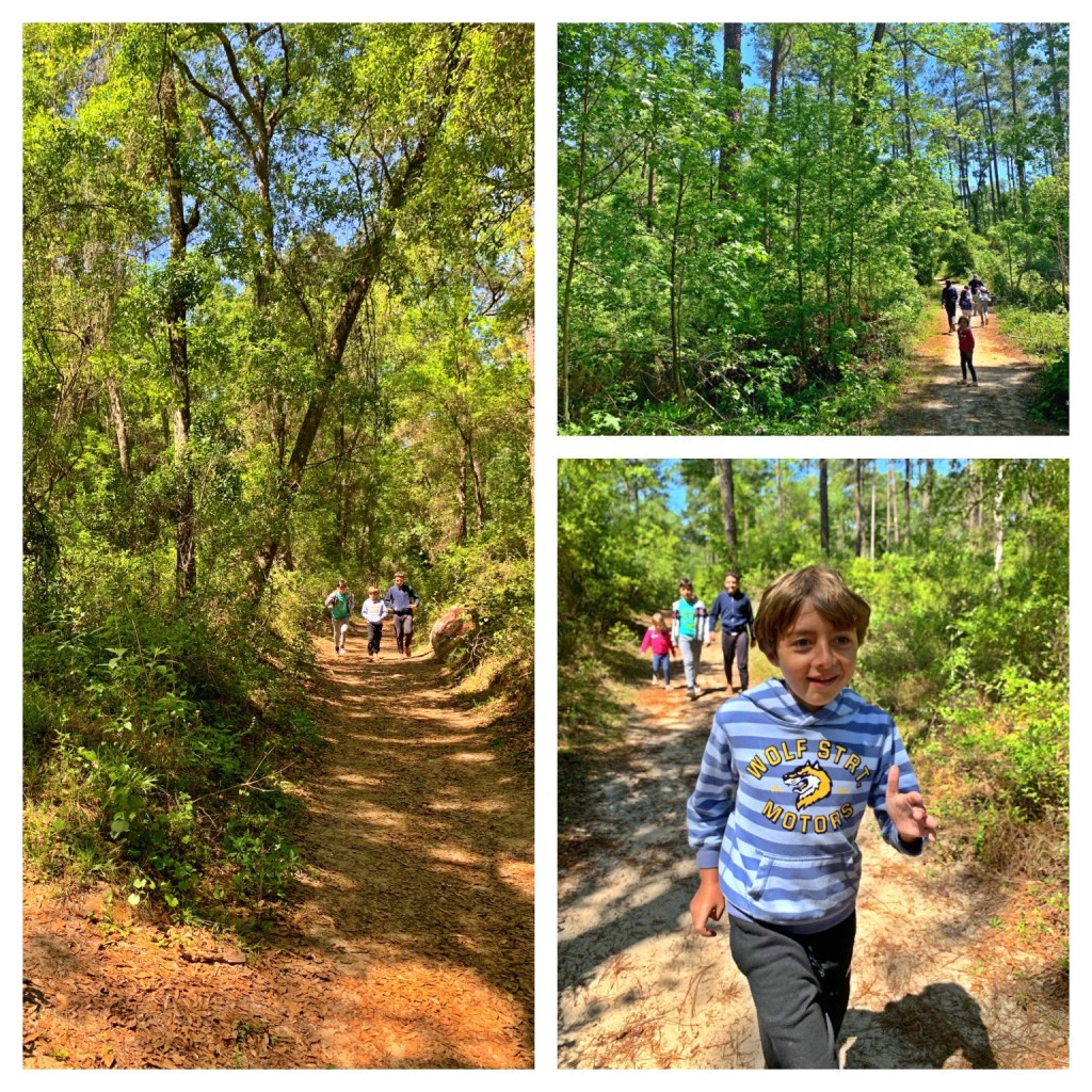 Lecanto, Florida – Away we wander and discover the world…