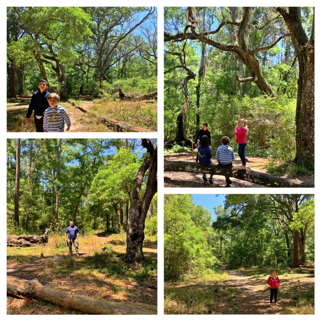 Lecanto, Florida – Away we wander and discover the world…