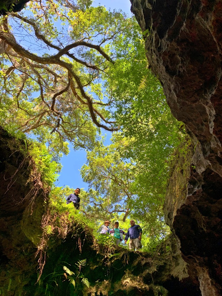 Lecanto, Florida – Away we wander and discover the world…