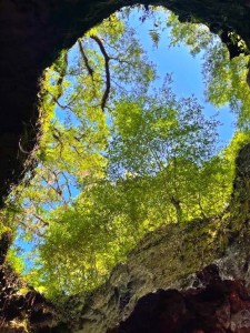 Lecanto, Florida – Away we wander and discover the world…