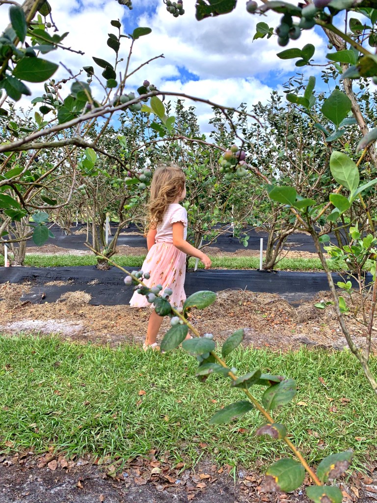 La Belle, Florida – Away we wander and discover the world…