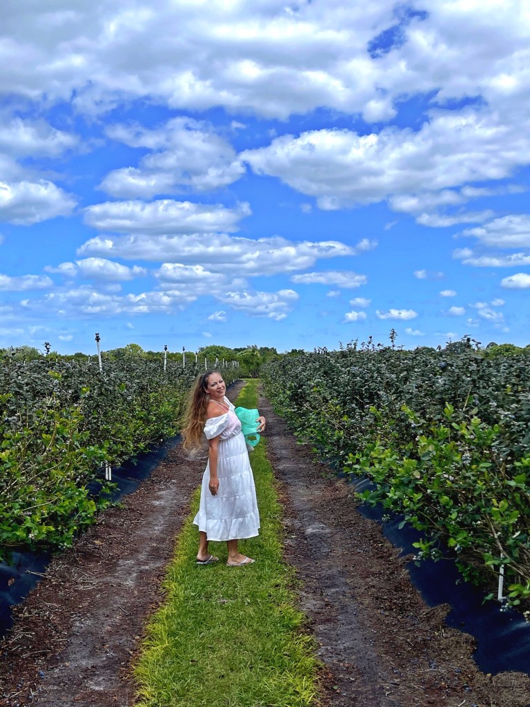 La Belle, Florida – Away we wander and discover the world…