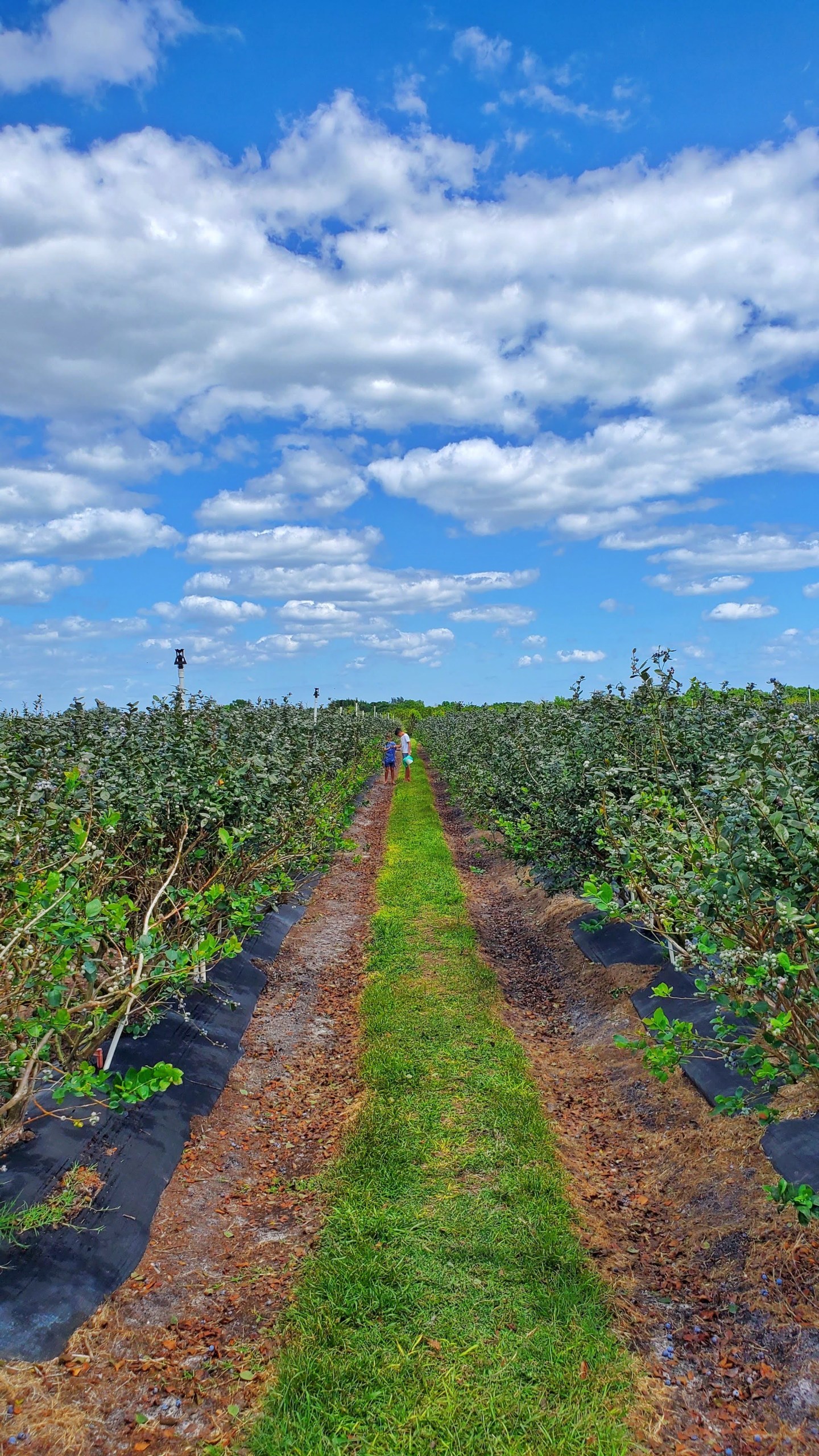 La Belle, Florida – Away we wander and discover the world…