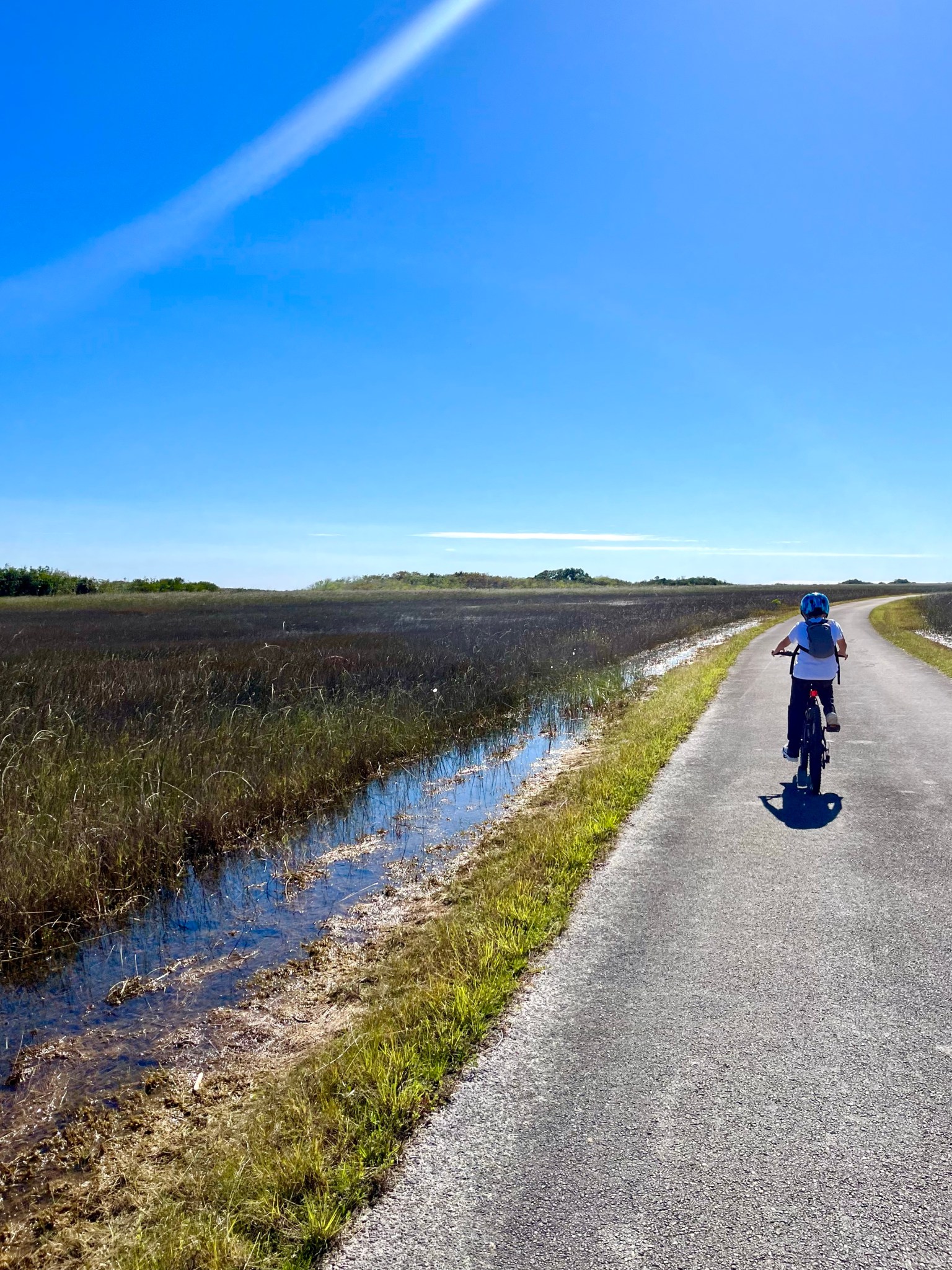 Shark Valley, Everglades National Park, Florida – Away we wander and ...