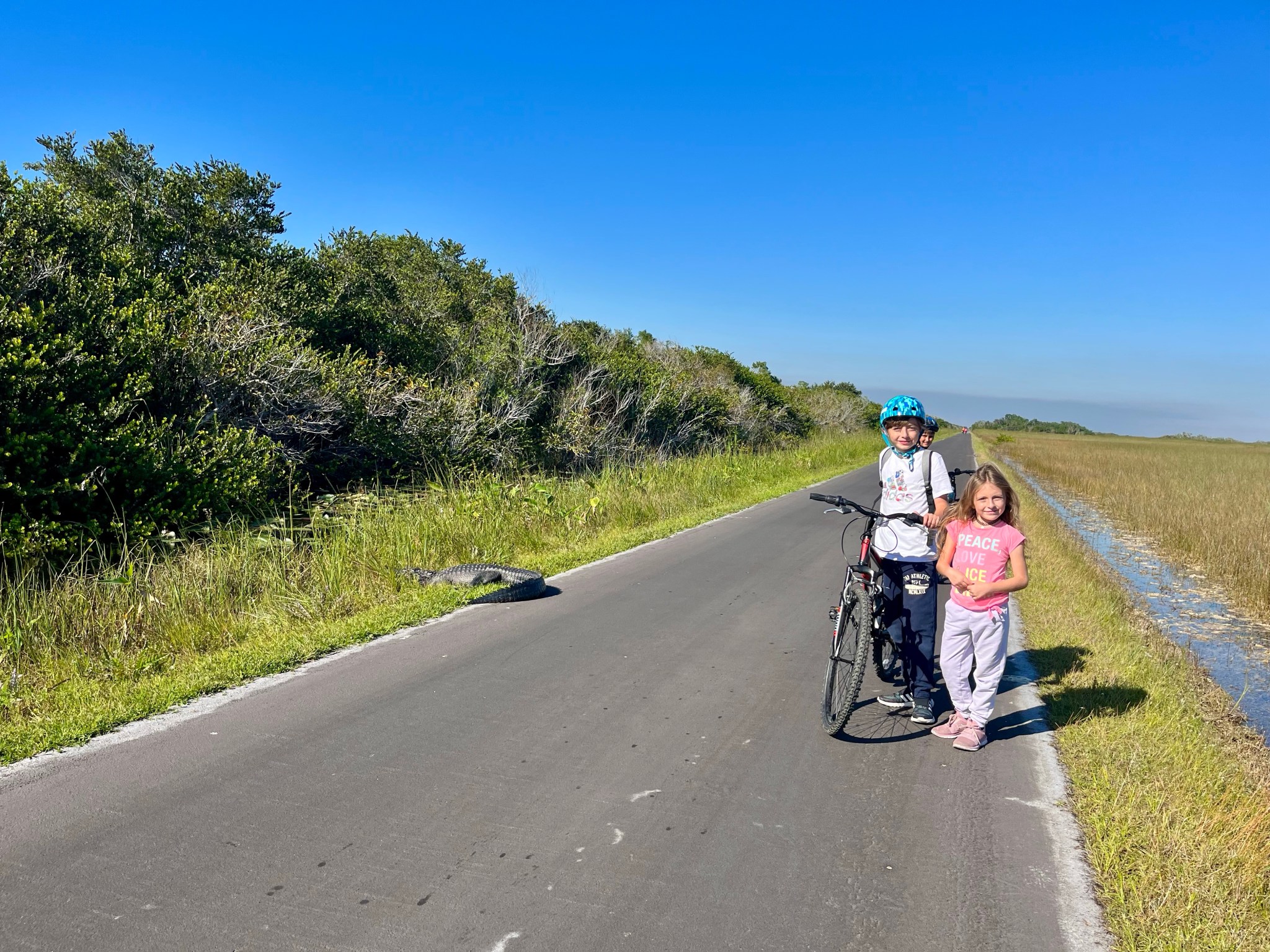 Shark Valley, Everglades National Park, Florida – Away we wander and ...